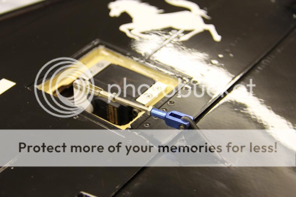 FEJ Large Hawk - RCU Forums